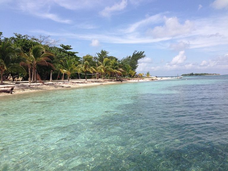 HOME - Calico Jack's